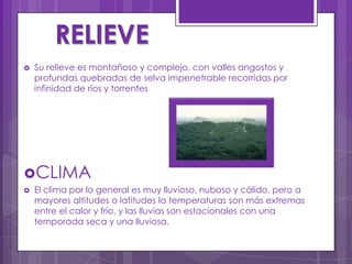 Región Yunga | PPTX