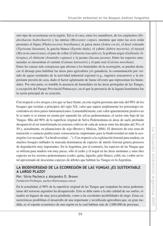 Yungas | PDF