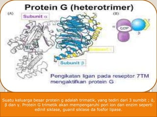 KOMUNIKASI SEL | PPT