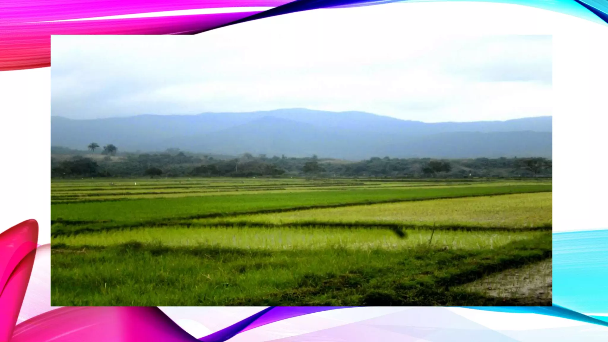 AP 4 Yunit 1, aralin 8 anyong lupa | PPTX