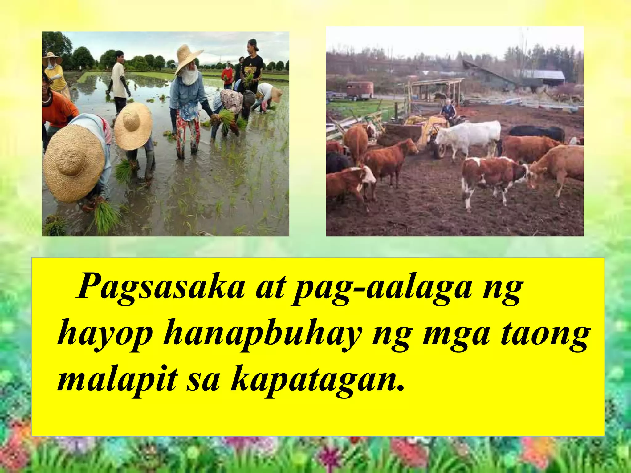 Yunit 2 aralin 1 pag uugnay ng kapaligiran at uri ng hanapbuhay | PPTX