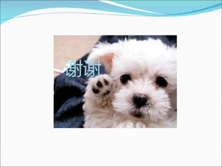 Yun table 云时代的数据库 | PPT | Databases | Computer Software and Applications