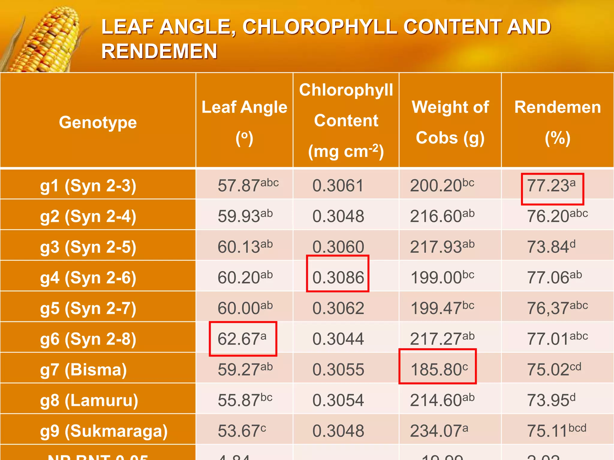 Yunus Musa - Maize and Drought.pptx