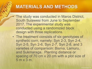 Yunus Musa - Maize and Drought.pptx