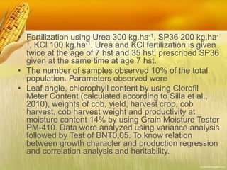 Yunus Musa - Maize and Drought.pptx