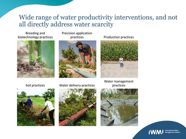 Can water productivity improvements save us from global water scarcity ...