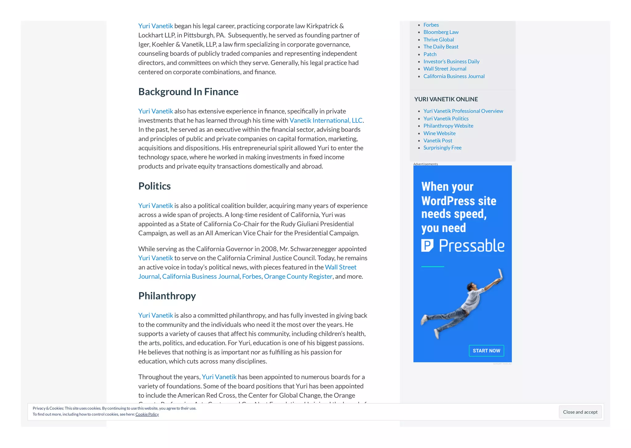 Yuri Vanetik Law.pdf