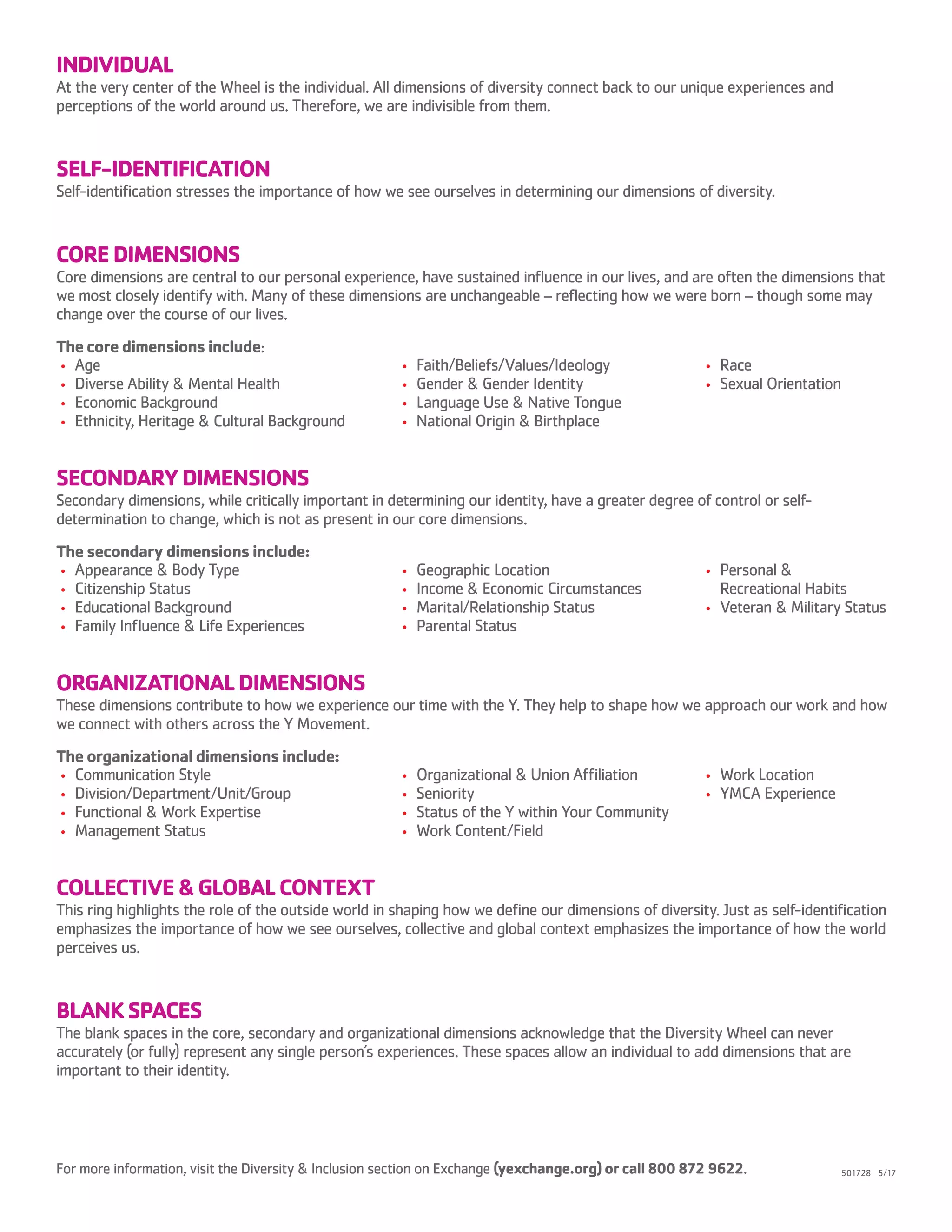 Y-USA Dimensions of Diversity Wheel | PDF