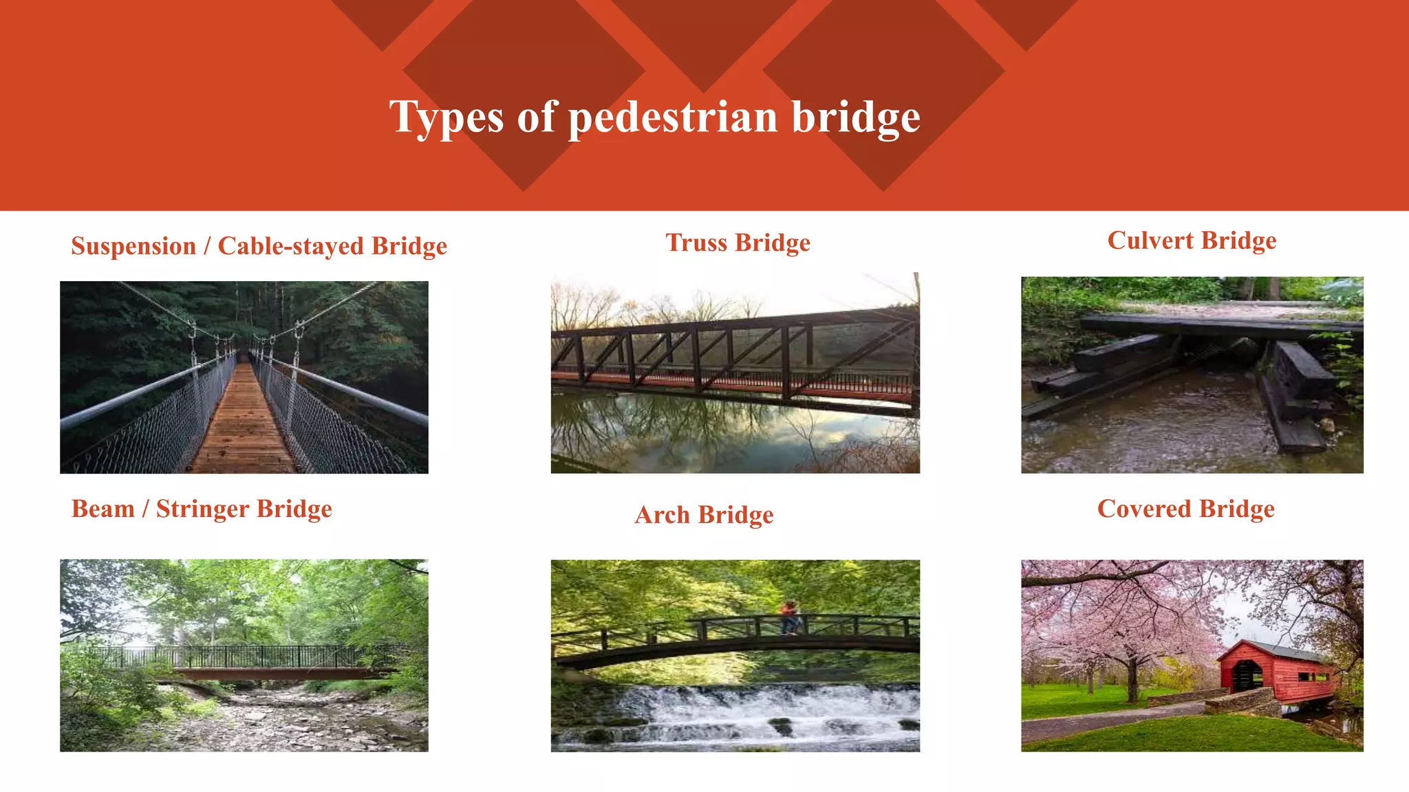 yusf & alnd PDE project ; pedestrian suspension bridge.pptx
