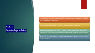 bacteriophage use in therapy | PPTX