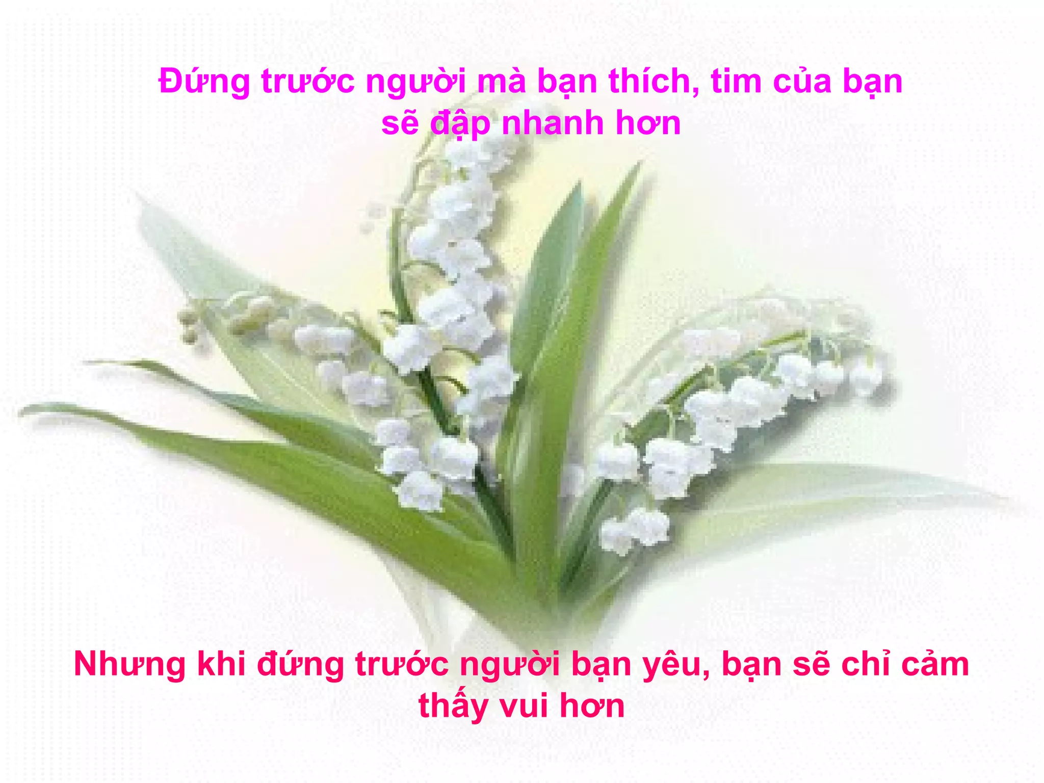 Yêu & Thích _ Teresa Ngọc nga | PPT