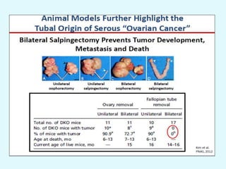Unilateral Salpingectomy