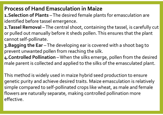 topic for seminar emasculation in Plant breeding | PDF