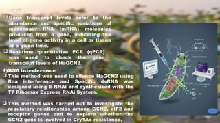 Interaction between GCN2 and eIF2 mediated resistance. | PPTX