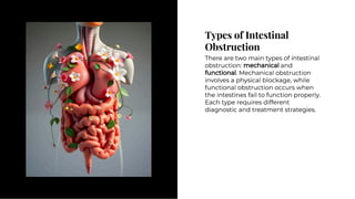 Surgical discipline and know about it more | PPT