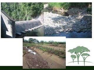 Conflict, Cooperation & Collective Action: land use, water rights and ...