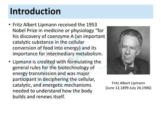 Teena_sem_4_Coenzyme_.pptx