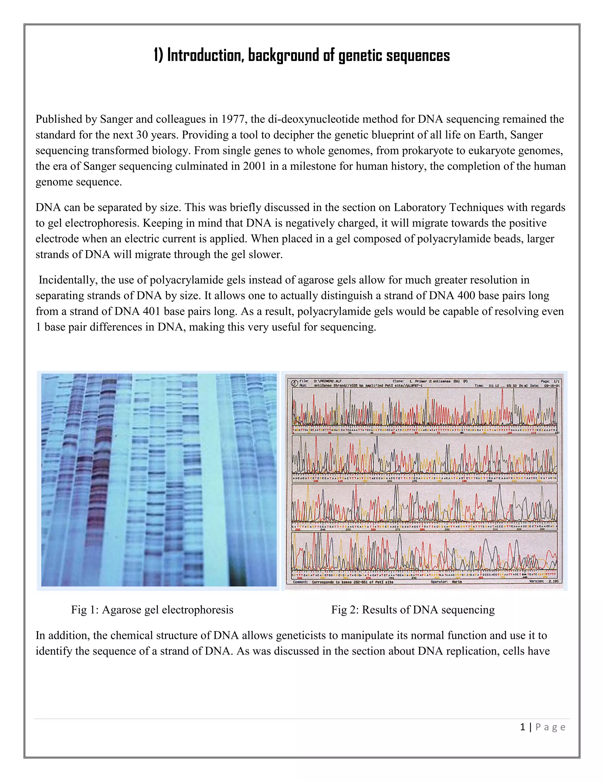 New generation Sequencing | PDF