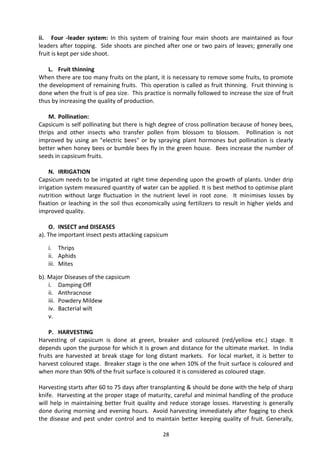 Model Bankable Project on Protected Cultivation; Gardening Guidebook ...
