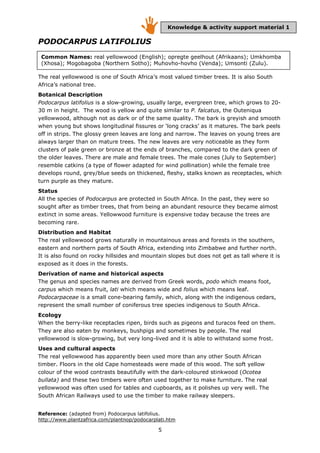 Growing Mother Tree Seedlings - Teacher Handbook for School Gardening | PDF