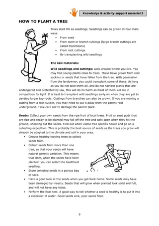Growing Mother Tree Seedlings - Teacher Handbook for School Gardening | PDF