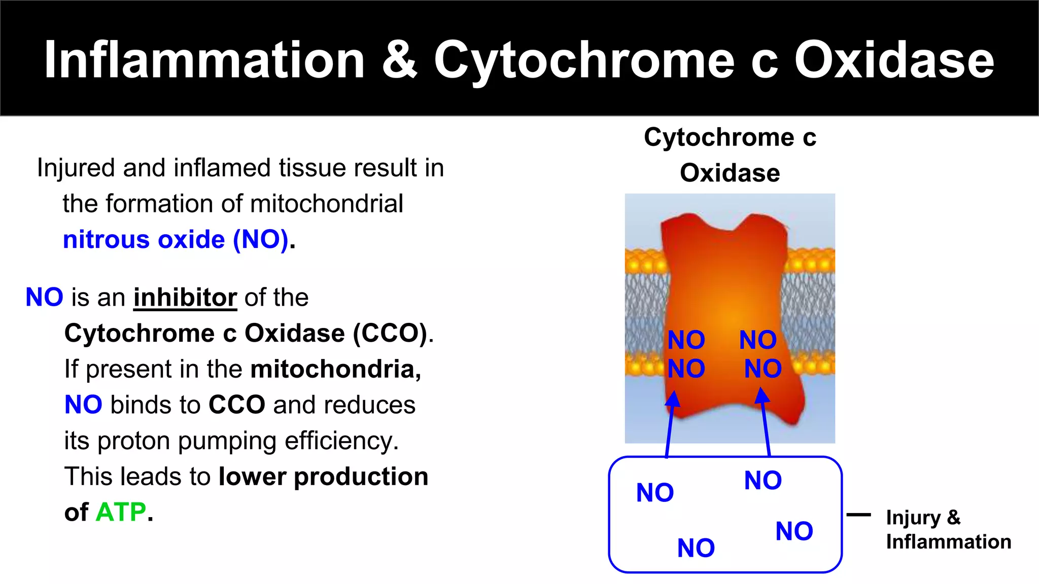 LLLT Mechanisms of Action | PPTX