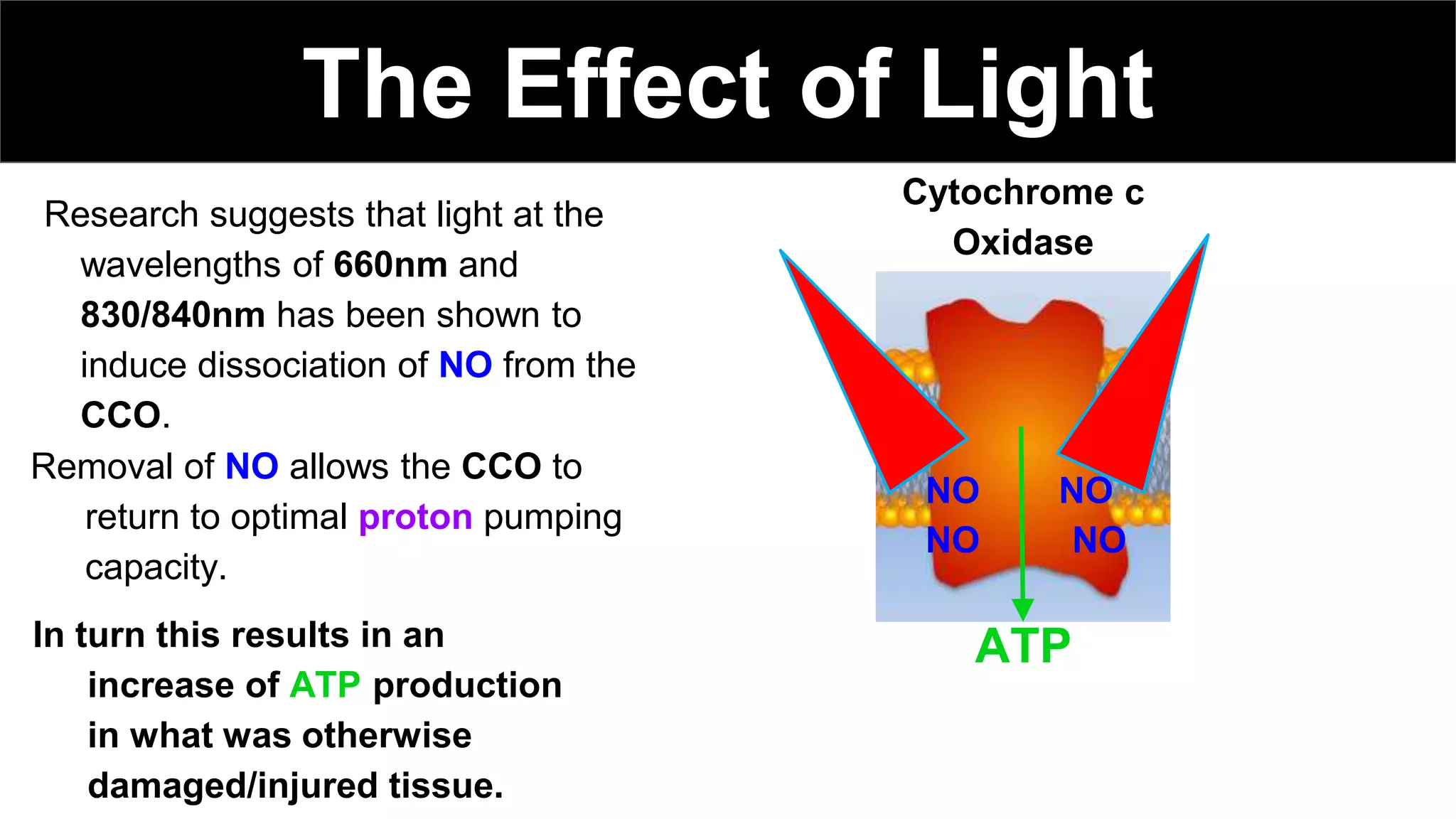 LLLT Mechanisms of Action | PPTX