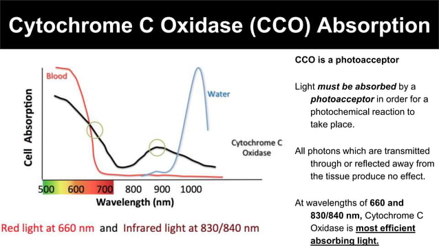 LLLT Mechanisms of Action | PPT