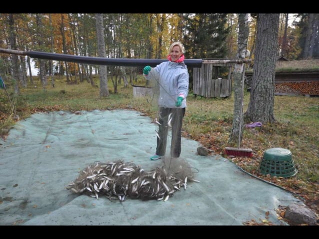 Vimpa Islands | PPTX