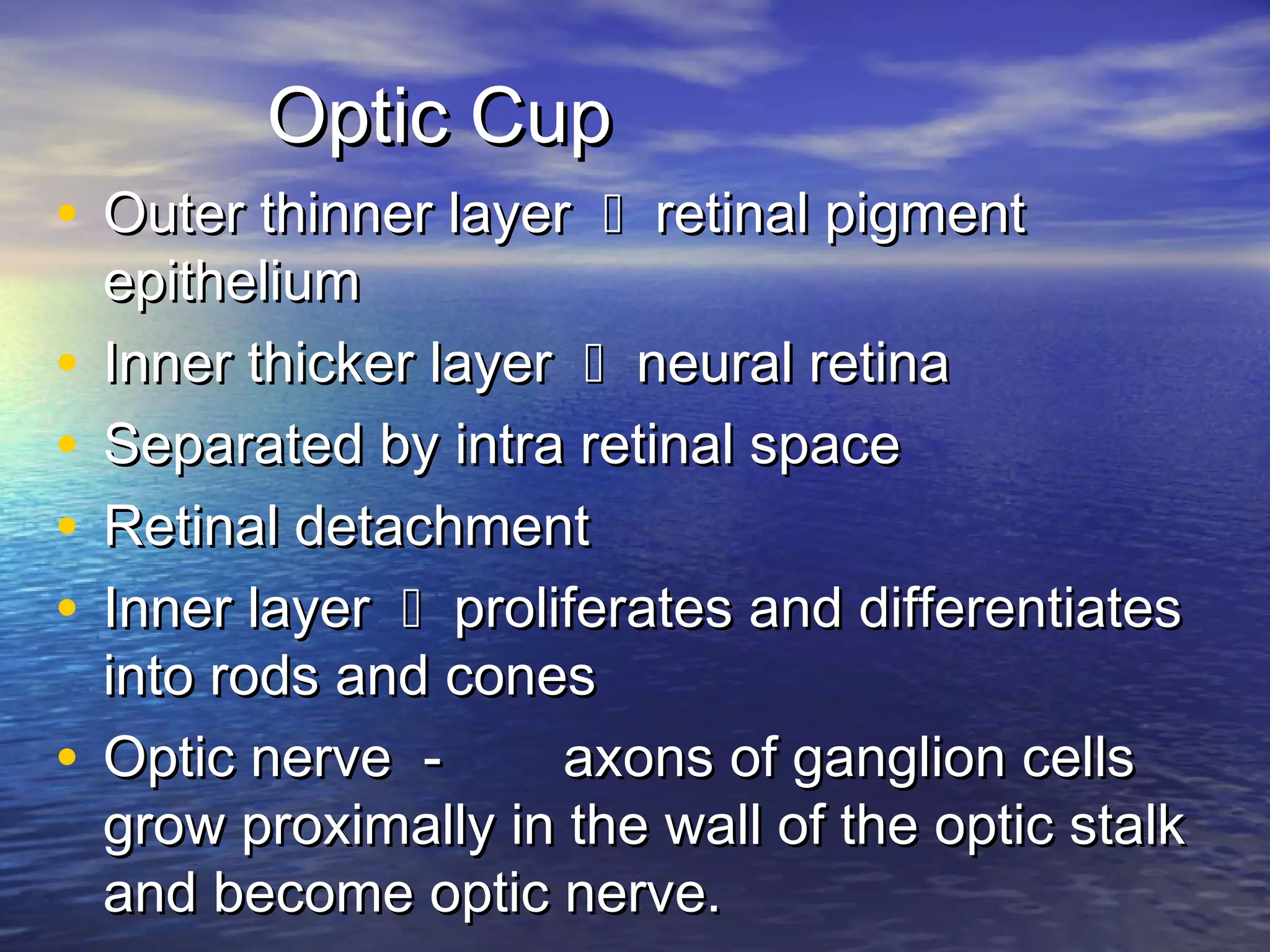 Embryology of the eye | PPT