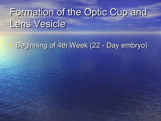 Embryology of the eye | PPT