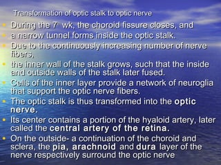 Embryology of the eye | PPT