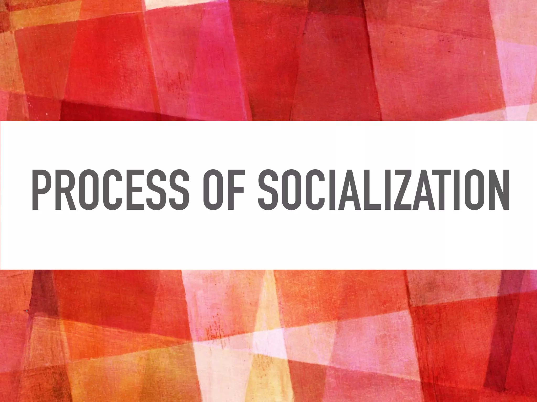 Process Of Socialization | PDF