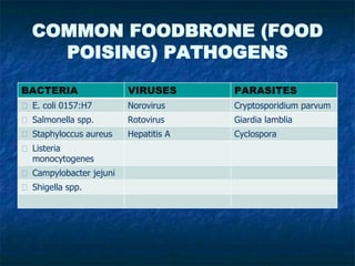 Role of Microbiology in Food Safety | PPT