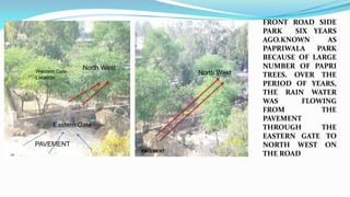 Discovery within a Discovery | PPT