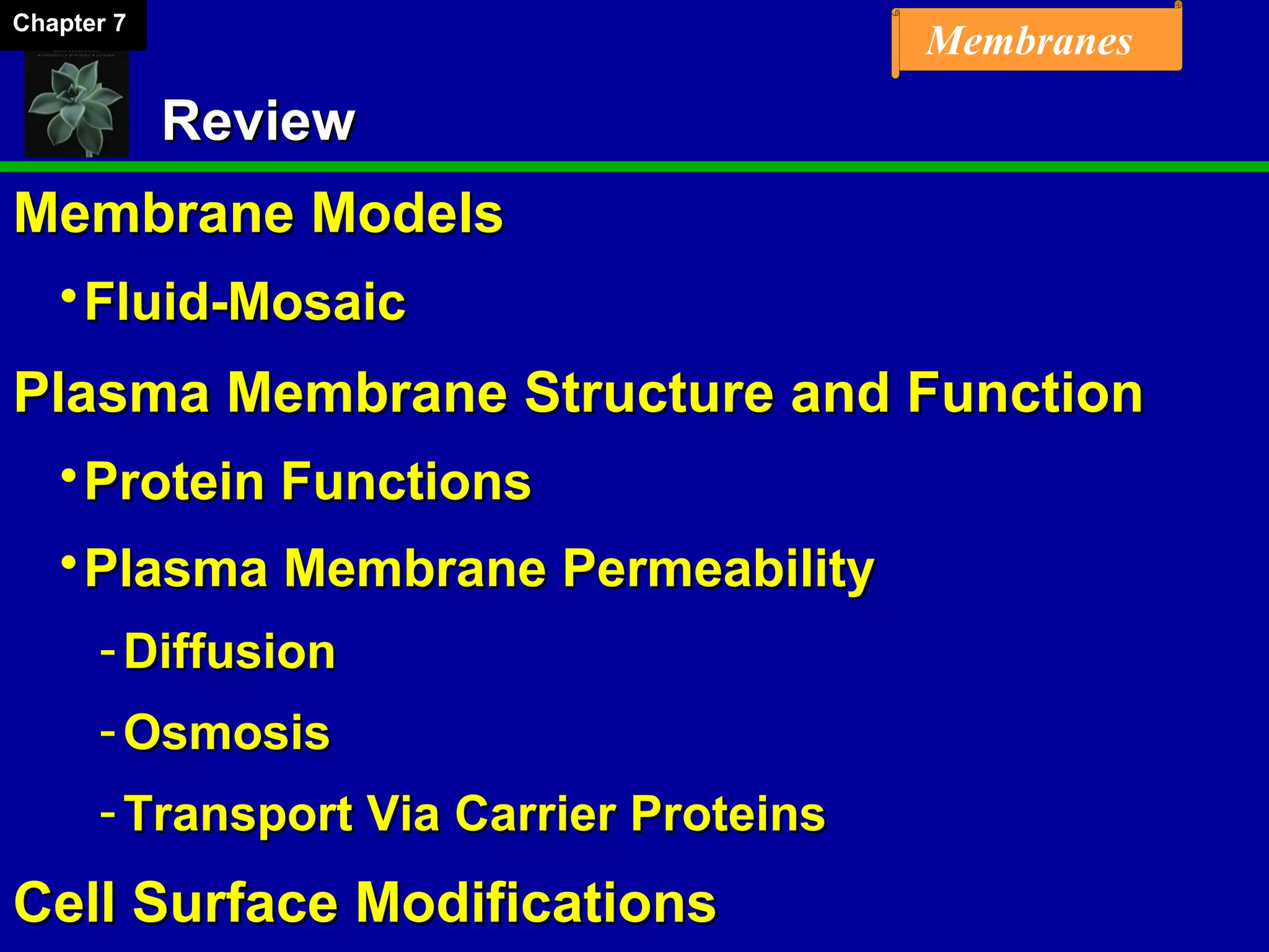 Chapter 07 Membrane Structure and Function | PPT