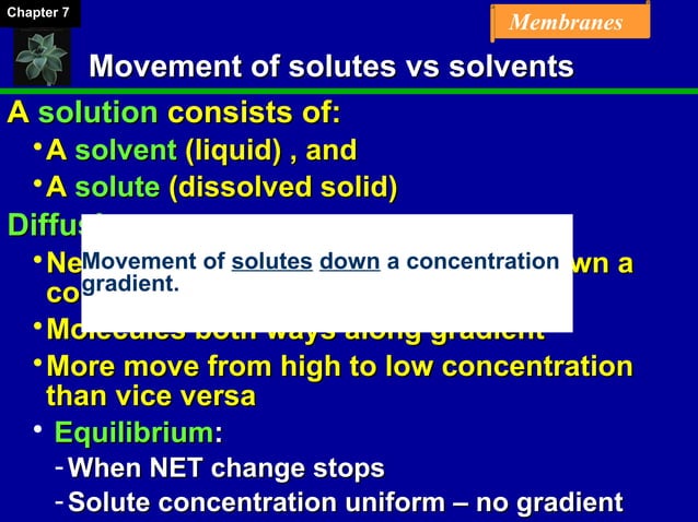 Chapter 07 Membrane Structure and Function | PPT | Chemistry | Science