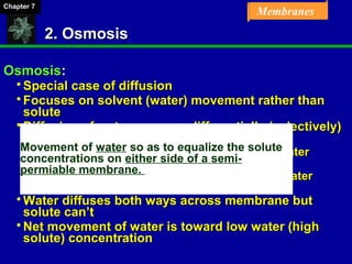 Chapter 07 Membrane Structure and Function | PPT