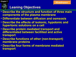 Chapter 07 Membrane Structure and Function | PPT