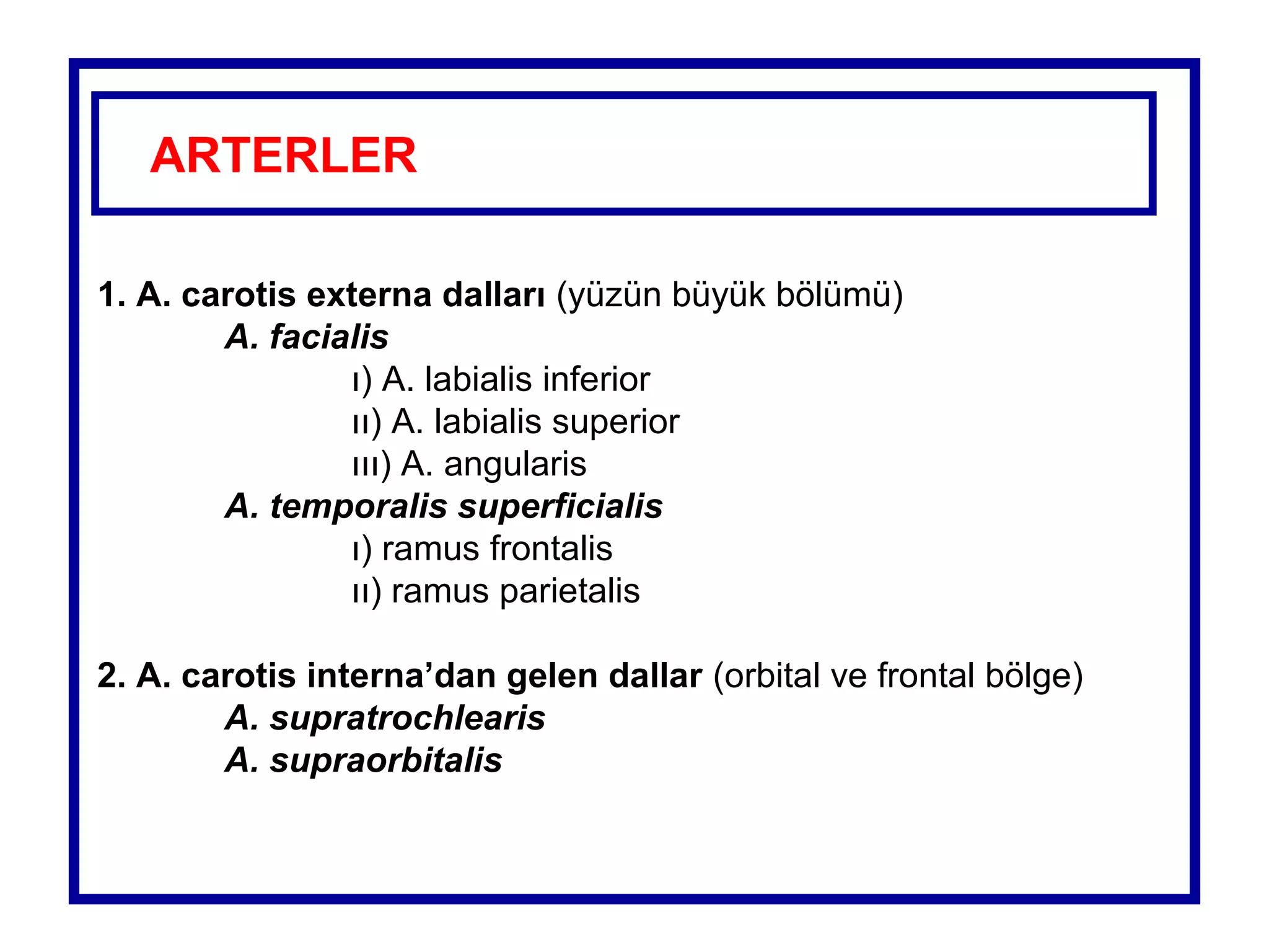 Yüz anatomisi (fazlası için www.tipfakultesi.org) | PPT