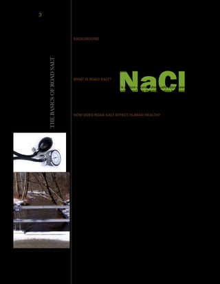 Road Salt - Moving Toward the Solution | PDF