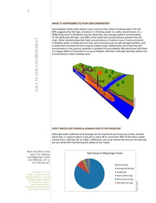 Road Salt - Moving Toward the Solution | PDF