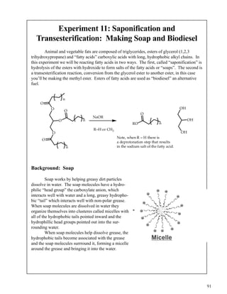Making Soap & Biodiesel - A Guide for Making your own Soap | PDF