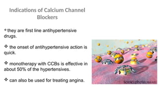 Z- Calcium Channel Blockers in management of HTN.pptx