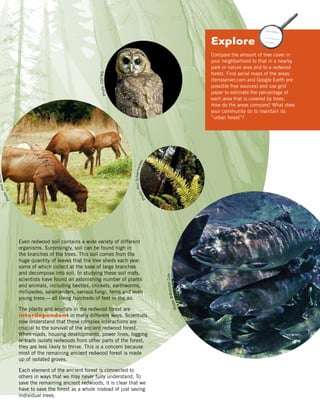 coast redwoods-series_grade_9-12 | PDF