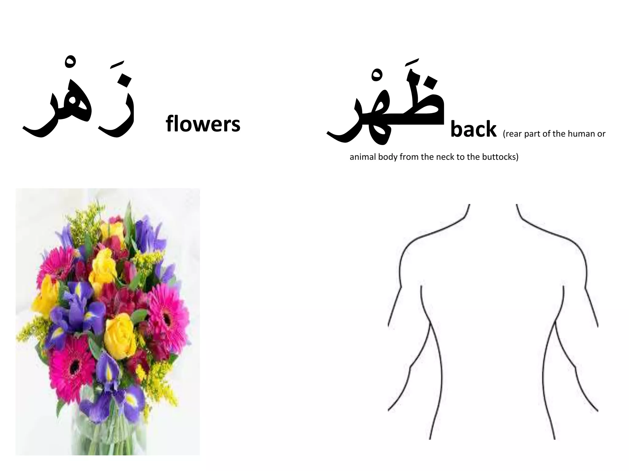 Arabic reading Distinguish between the sound of the Arabic alphabets ز ...