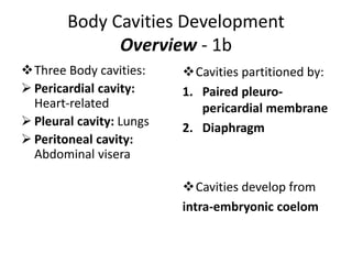 Z-L13- B123-Cavities Embryology & Disorders.pptx | Death, Injury, or ...