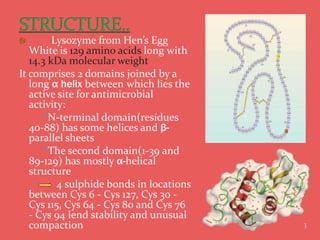 Lysozyme - a lucrative enzyme | PPTX
