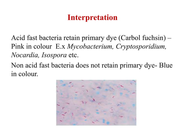 Z n staining | PPTX | Chemistry | Science