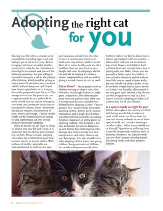 Catcareguide | PDF